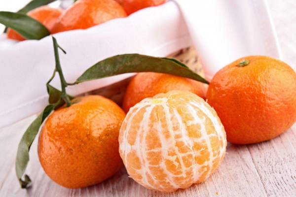 Citrus Wallpapers - Top Free Citrus Backgrounds - WallpaperAccess