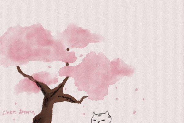 Kawaii LDShadowLady Wallpapers - Top Free Kawaii LDShadowLady ...