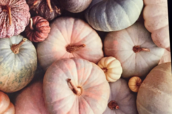 Pink Halloween Wallpapers - Top Free Pink Halloween Backgrounds ...