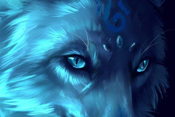 Rainbow Fox Wallpapers - Top Free Rainbow Fox Backgrounds - WallpaperAccess