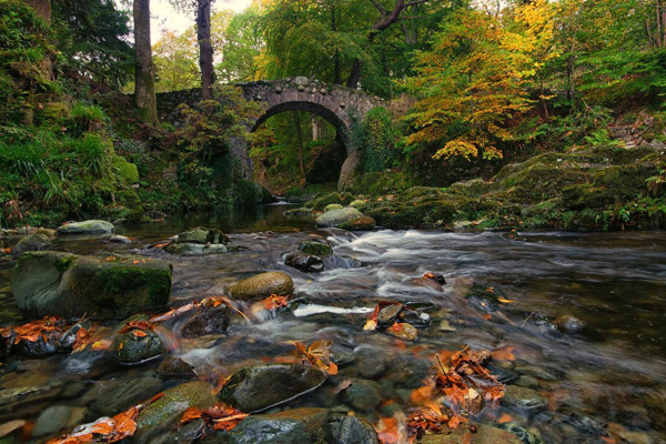 Ireland Forest Desktop Wallpapers - Top Free Ireland Forest Desktop ...