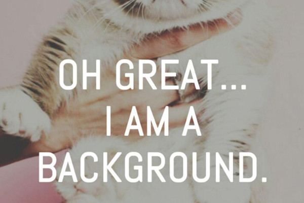 Grumpy Cat Wallpapers - Top Free Grumpy Cat Backgrounds - WallpaperAccess