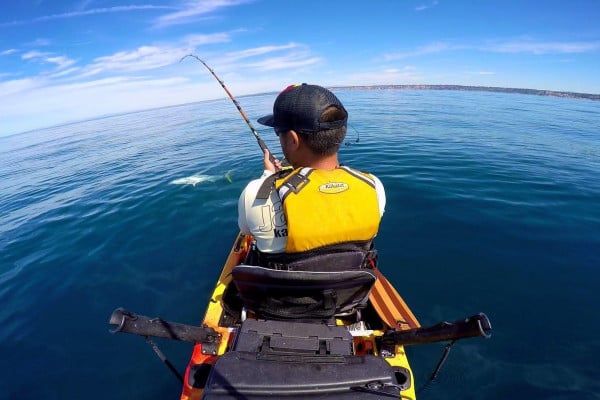 Hunting and Fishing Wallpapers - Top Free Hunting and Fishing ...