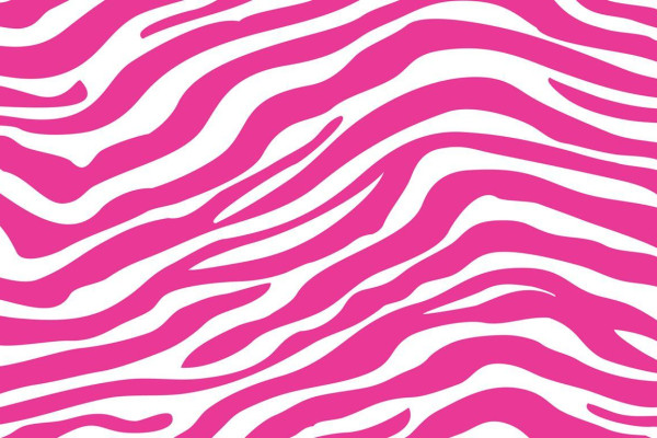 Zebra Wallpapers - Top Free Zebra Backgrounds - WallpaperAccess