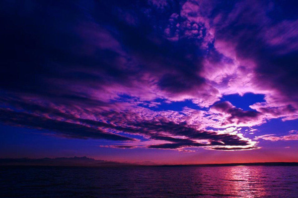 Purple Nature HD Desktop Wallpapers - Top Free Purple Nature HD Desktop ...