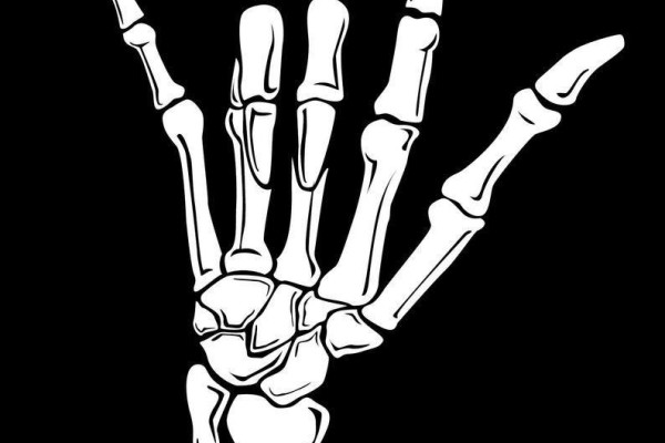 Skeleton Meme Wallpapers - Top Free Skeleton Meme Backgrounds ...