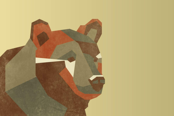 Polygon Wolf Wallpapers - Top Free Polygon Wolf Backgrounds ...