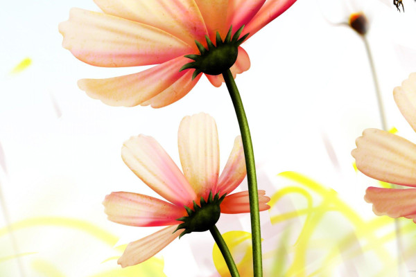 Nature Vertical Wallpapers - Top Free Nature Vertical Backgrounds ...