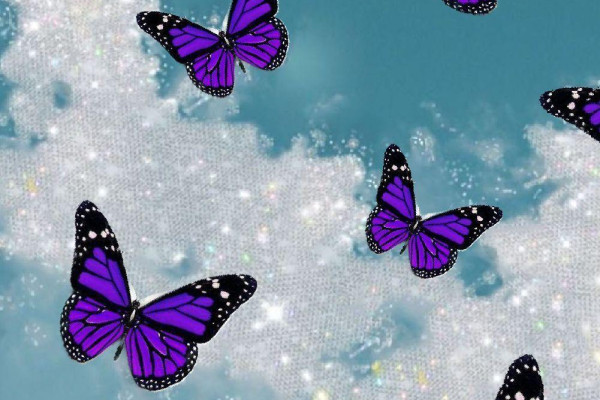 Magenta Butterfly Wallpapers - Top Free Magenta Butterfly Backgrounds ...