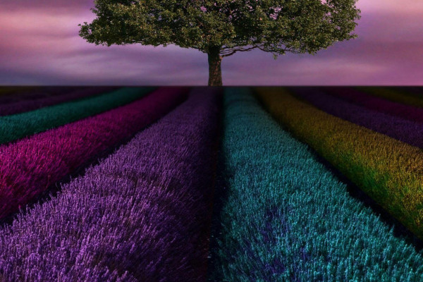 LG G4 Wallpapers - Top Free LG G4 Backgrounds - WallpaperAccess