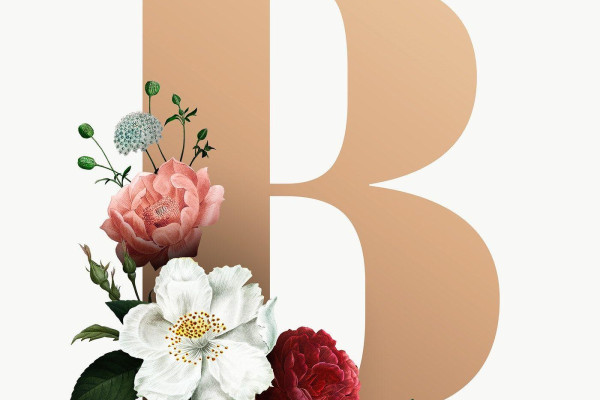 Letter B Wallpapers - Top Free Letter B Backgrounds - WallpaperAccess
