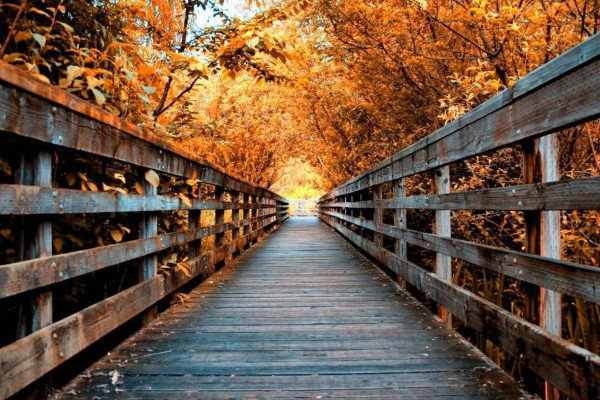 Path Wallpapers - Top Free Path Backgrounds - WallpaperAccess