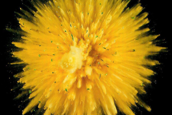 Paint Explosion Wallpapers - Top Free Paint Explosion Backgrounds ...