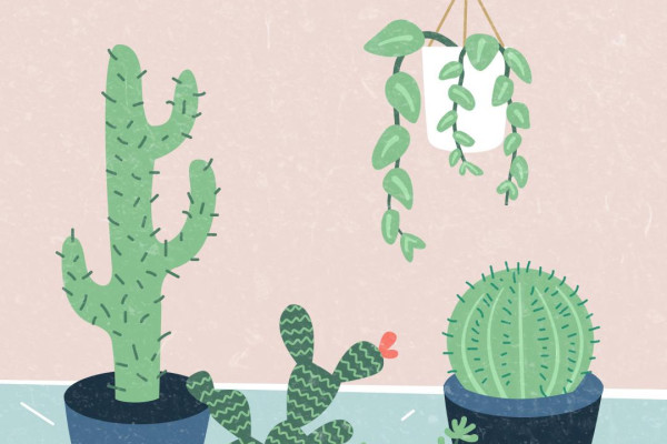 Pink Cactus Desktop Wallpapers - Top Free Pink Cactus Desktop ...