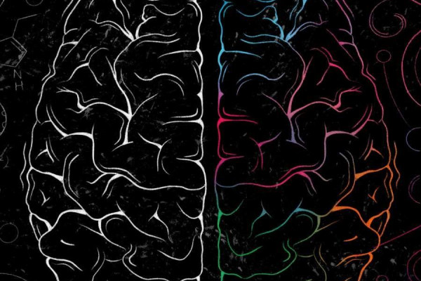 Creative Brain Wallpapers - Top Free Creative Brain Backgrounds ...