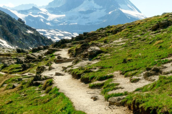 Forest Trail Wallpapers - Top Free Forest Trail Backgrounds ...