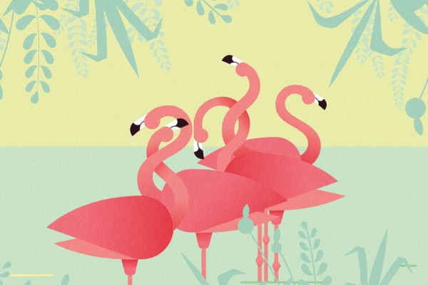 Flamingo Desktop Wallpapers - Top Free Flamingo Desktop Backgrounds ...