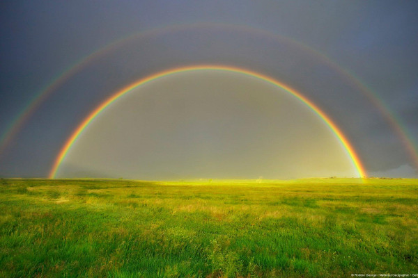 Double Wallpapers - Top Free Double Backgrounds - WallpaperAccess