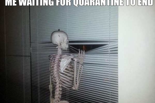 Cool Skeleton Wallpapers - Top Free Cool Skeleton Backgrounds ...