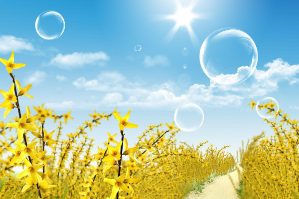 1920 X 1080 Summer Wallpapers - Top Free 1920 X 1080 Summer Backgrounds ...