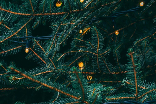 Dark Green Desktop Wallpapers - Top Free Dark Green Desktop Backgrounds ...