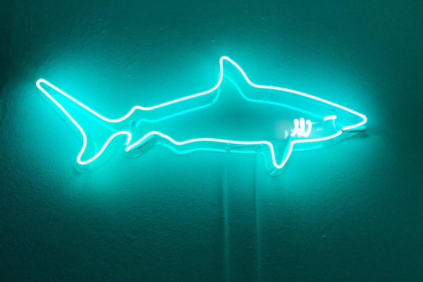 360 Wallpapers - Top Free 360 Backgrounds - WallpaperAccess