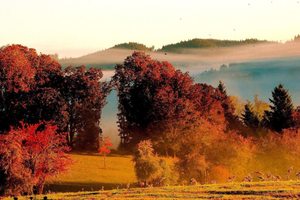 Autumn Ocean Wallpapers - Top Free Autumn Ocean Backgrounds ...