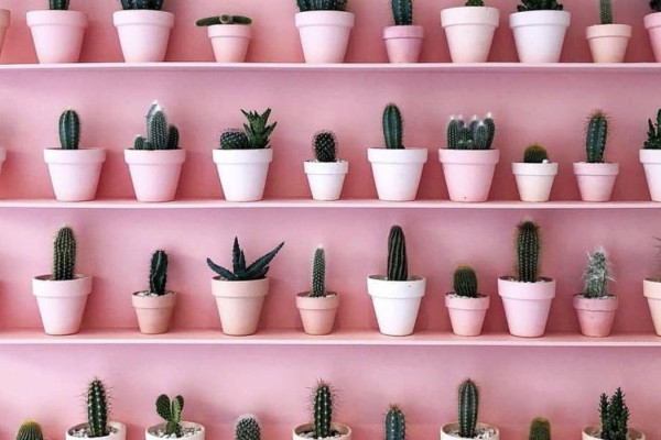 Simple Pink Desktop Wallpapers - Top Free Simple Pink Desktop ...