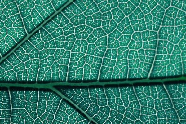 Textured Desktop Wallpapers - Top Free Textured Desktop Backgrounds ...