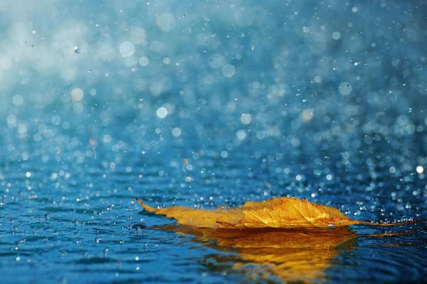 Live Rain Wallpapers - Top Free Live Rain Backgrounds - WallpaperAccess