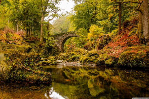 Harry Potter Autumn Wallpapers - Top Free Harry Potter Autumn ...