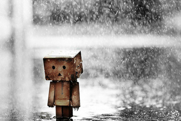 Sad Frog Wallpapers - Top Free Sad Frog Backgrounds - WallpaperAccess