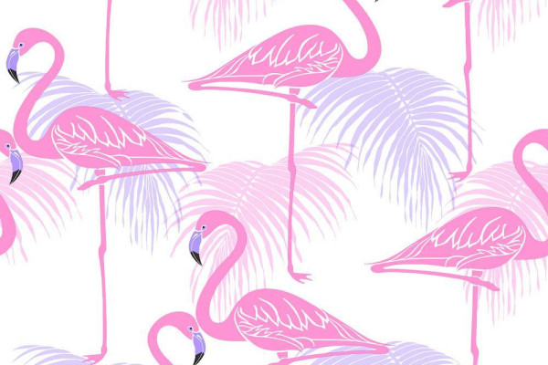 Flamingo Computer Wallpapers - Top Free Flamingo Computer Backgrounds ...