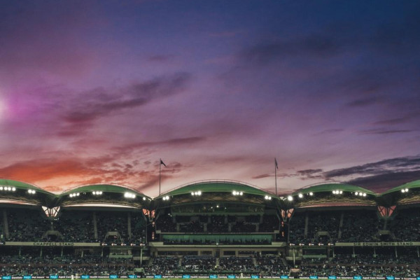 Cricket Desktop Wallpapers - Top Free Cricket Desktop Backgrounds ...