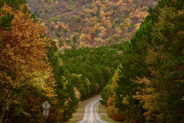 Green Road Wallpapers - Top Free Green Road Backgrounds - WallpaperAccess