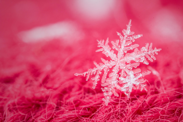 Pink Snow Wallpapers - Top Free Pink Snow Backgrounds - WallpaperAccess