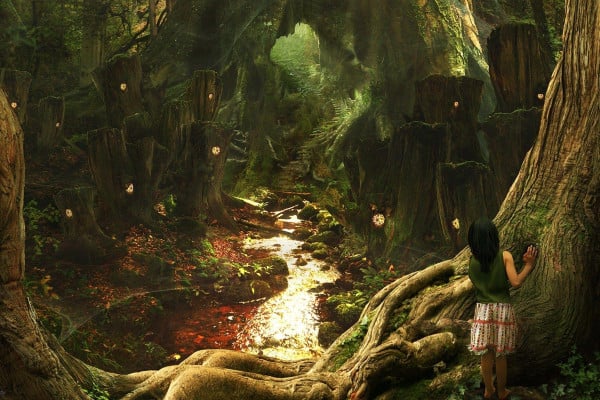 Forest Fairy Wallpapers - Top Free Forest Fairy Backgrounds ...