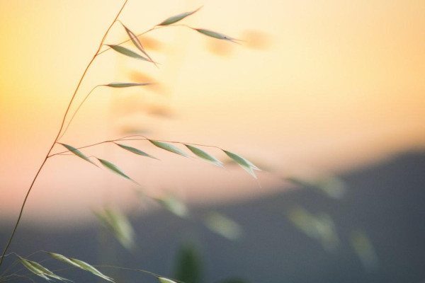 Calming Abstract Wallpapers - Top Free Calming Abstract Backgrounds ...