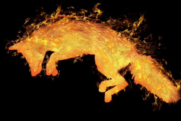 Flaming Wolf Wallpapers - Top Free Flaming Wolf Backgrounds ...