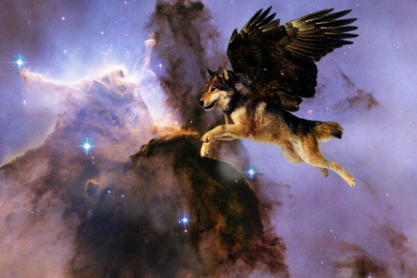 Magic Wolf Wallpapers - Top Free Magic Wolf Backgrounds - WallpaperAccess