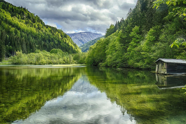 Calm Forest Wallpapers - Top Free Calm Forest Backgrounds - WallpaperAccess