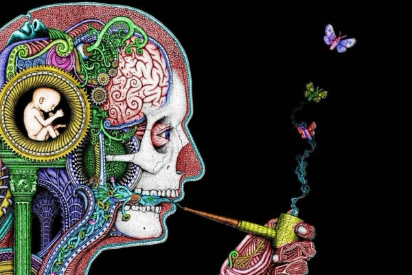 Human Face Wallpapers - Top Free Human Face Backgrounds - WallpaperAccess