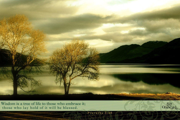 Pinterest Desktop Wallpapers - Top Free Pinterest Desktop Backgrounds ...