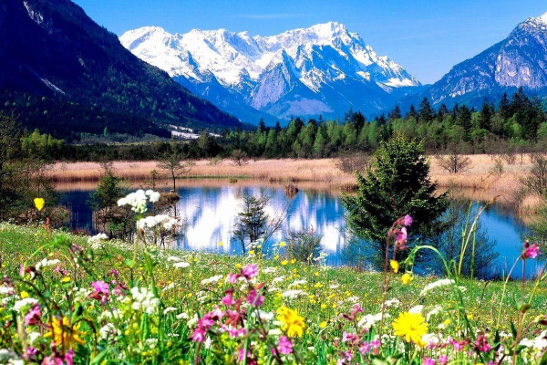Spring Scenes Wallpapers - Top Free Spring Scenes Backgrounds ...