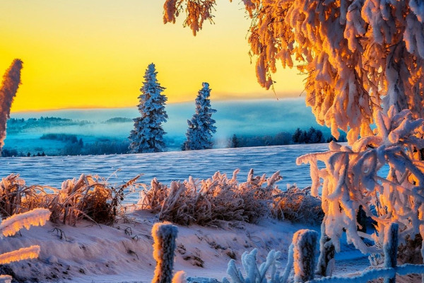 16K HD Wallpapers - Top Free 16K HD Backgrounds - WallpaperAccess