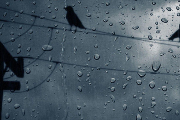 Dark Rain Phone Wallpapers - Top Free Dark Rain Phone Backgrounds ...
