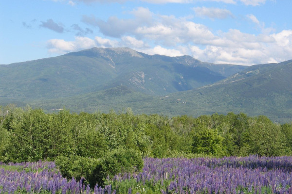 New England Spring Wallpapers - Top Free New England Spring Backgrounds ...