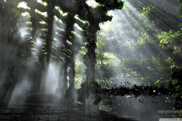 Zen Forest Wallpapers - Top Free Zen Forest Backgrounds - WallpaperAccess