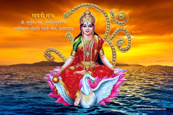 Jain Wallpapers - Top Free Jain Backgrounds - WallpaperAccess