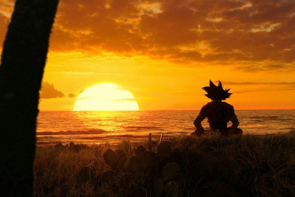 Goku Computer Wallpapers - Top Free Goku Computer Backgrounds ...